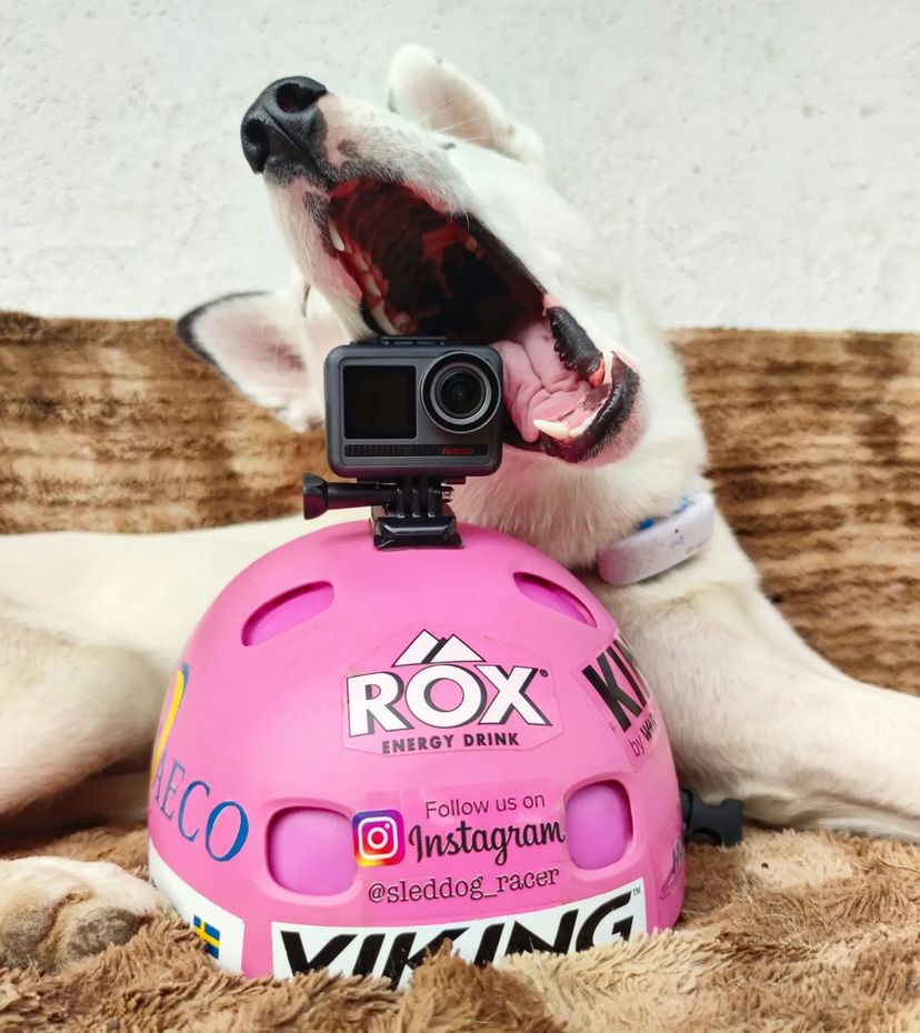 What are The Pros and Cons of an Action Camera Head Mount?